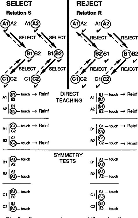 Figure 5 From Conditional Discrimination And Equivalence Relations A Theoretical Analysis Of