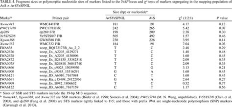 Molecular Mapping Of Yrsp And Its Relationship With Other Genes For Stripe Rust Resistance In