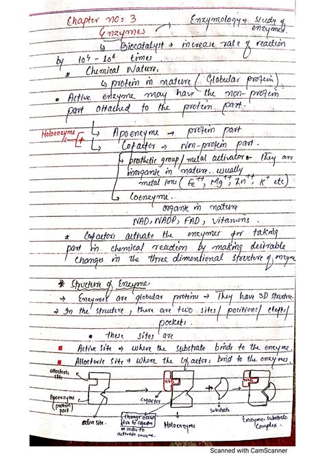 Solution Enzymes Chemical Nature Structure Specificity Groups Factors Affecting Enzymes And