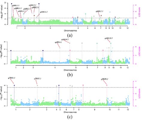 Manhattan Plots Of Epistatic Interaction Among The Loci Of Mrl Arl Download Scientific