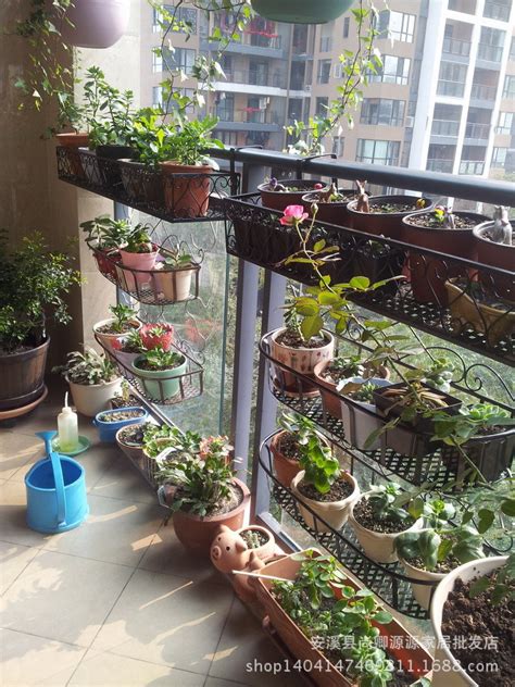 阳台植物摆放阳台植物图片大全欣赏阳台花盆摆放效果图大山谷图库