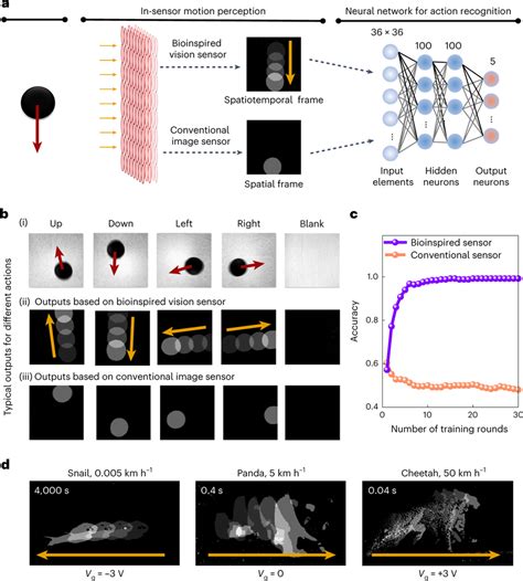 Action Recognition Based On Bioinspired Vision Sensors And Conventional Download Scientific