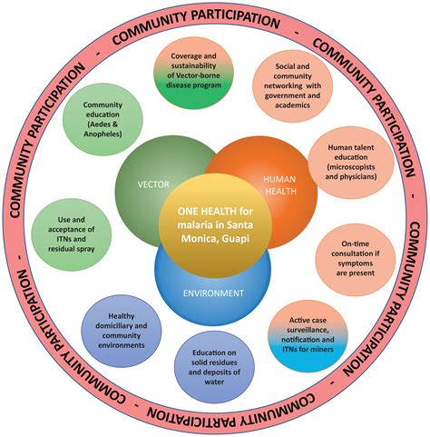 Frontiers Meeting The Challenges And Strategies Regarding Malaria Elimination Qualitative