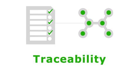 Exploring Types Of Traceability In Software Development Anastasiia Strielkina