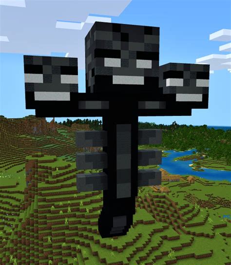 I Built A Wither Statue