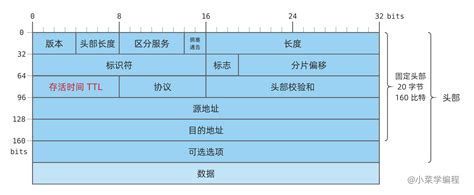 Ttl，ip包存活时间 小菜学网络