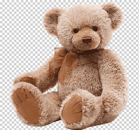 Плюшевый мишка Игрушка мягкая Gund Игрушечный мишка ребенок фотография цветок Png Klipartz