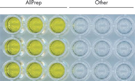 Allprep Rna Protein Kit