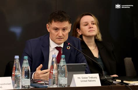 საქართველოს ლევან ჟორჟოლიანმა გაერო ს წარმომადგენლებს საქართველოს მთავრობის პრიორიტეტები