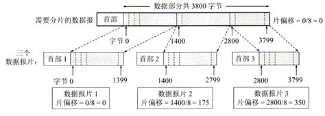 【计算机网络系列】网络层④:详解ip数据包的格式ip数据包的类型有哪些 Csdn博客 【计算机网络系列】网络层④:详解ip数据包的格式ip数据包的类型有哪些 Csdn博客