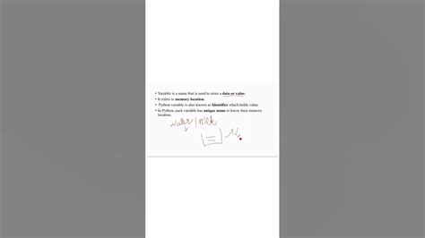 what is a variable in python 🐍 pythonbasics variablesinpython coder shades youtube