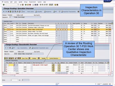 青蛙sap分享 Froggys Sap Sharing Sap Erp Qm Inspection Type 03 In Process