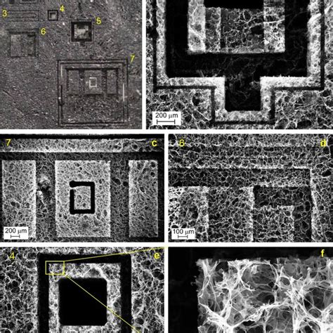 Stem Patterning In Graphene Sponge A Digital Camera And B F Sem