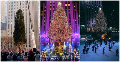 Блесна елката во центарот Рокфелер во Њујорк украсена со 3 милиони кристали и Swarovski ѕвезда