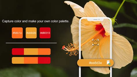 Color Detector Color Picker