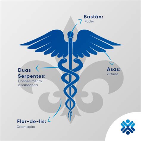 Coruja Simbolo Da Pedagogia Png Desenhos Similares A Coruja Da Pedagogia