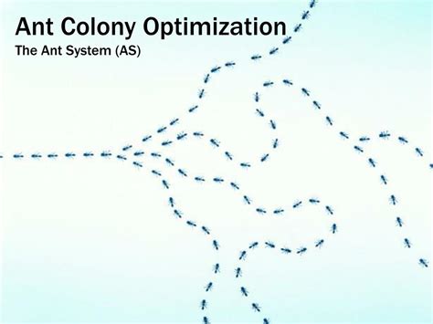 PPT Ant Colony Optimization PowerPoint Presentation Free Download ID