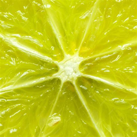 레몬 슬라이스 클로즈업 무료 사진