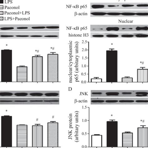 Chemical Structure Of 2 Hydroxy 4 Methoxyacetophenone Paeonol Download Scientific Diagram