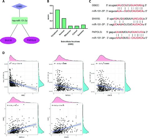 Construction Of Cerna Network Axis And Correlation Analysis A Cerna Download Scientific