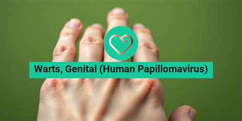 Warts Genital Human Papillomavirus Understanding Symptoms And