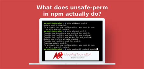 What Does Unsafe Perm In Npm Actually Do Meghraj Technosoft