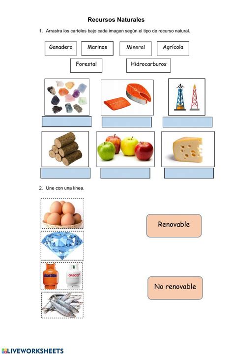 Hojas De Trabajo Sobre Recursos Naturales Recurso Renovable
