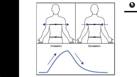 Respiratory Activity Sensor Pdf
