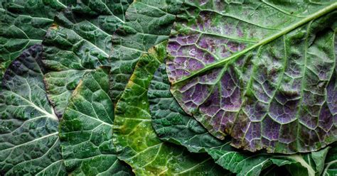 7 продуктов которые могут повысить уровень тестостерона