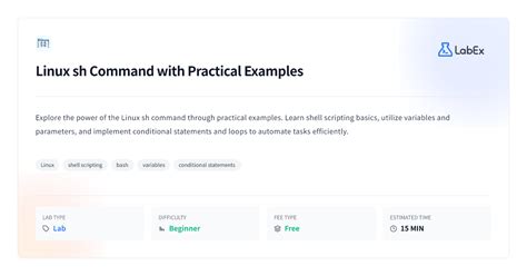 Linux Sh Command With Practical Examples Labex