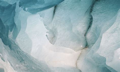 Welcome Nicolette Sennett Thrilled To Have You On Our Team Kai Mcgintee