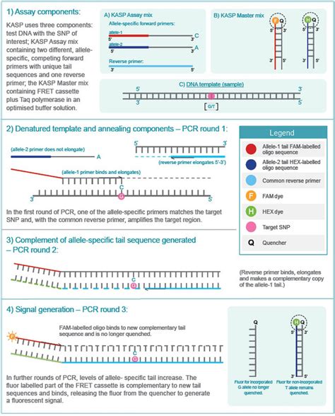 Lgc Biosearch Technologies Futuresynthesis