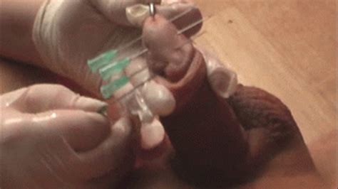 Sharp Needles In4 Wmv Mistress Arcana