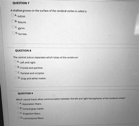 Solved Question 7 A Shallow Groove On The Surface Of The Cerebral Cortex Is Called A Oa