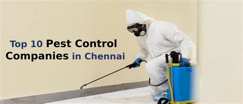 Top 10 Pest Control Companies In Chennai Best Pest Control Services