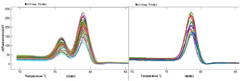 High Resolution Melting Curve Assay Genotyping Download Scientific Diagram