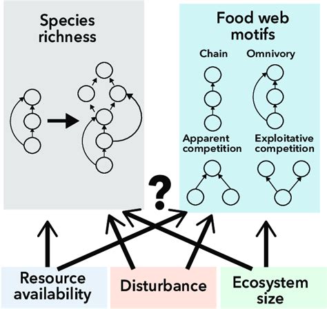 Schematic Representations Of Research Questions Download Scientific Diagram