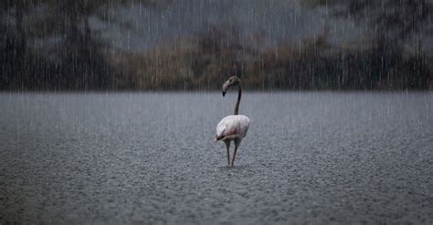 How To Make An Executor For Roblox Unlock Unlimited Gameplay Fun Group Insurance Guide