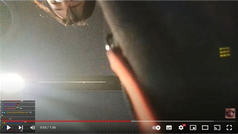 被保全勸導禁止拍攝企鵝妹藏包照錄 網嘆說謊成性 娛樂星聞