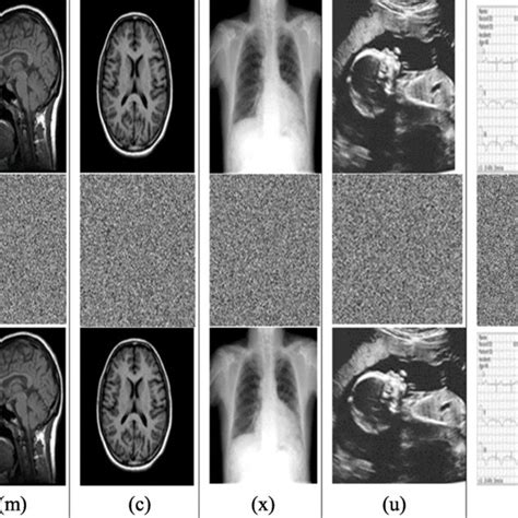 a b encrypted and decoded image with gaussian noise variation