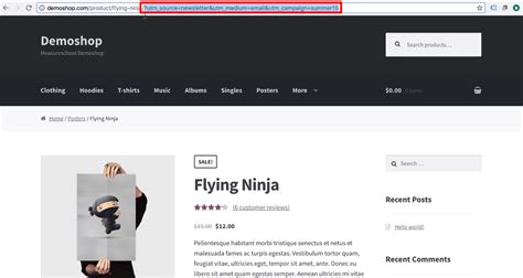 How To Use Query Strings And Parameters For Marketers Fully Explained