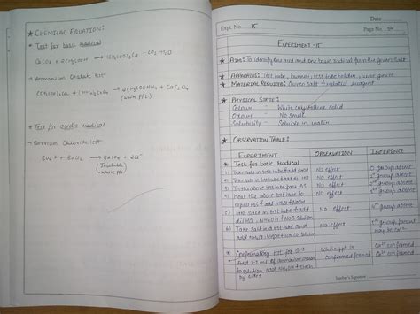 To Detect One Acid And One Basic Radical Salt Experiment CaSO4 Chemistry Class 12 CBSE Full