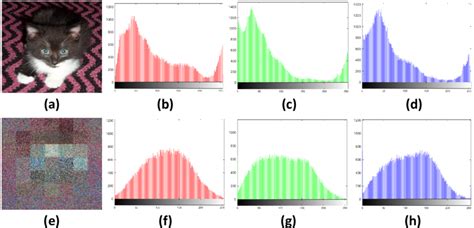 Histogram Analysis A Secret Image I B D Histograms Download Scientific Diagram