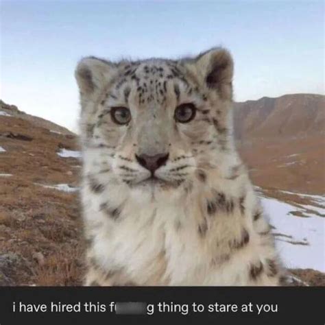 Mother Natures Lols Hilarious Nature Memes 27 Pics