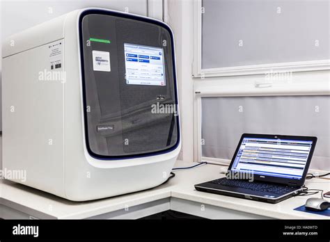 Real Time Polymerase Chain Reaction Pcr Used For Gene Expression