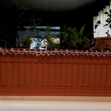 Tatted Border On My Window Box Of Herbs Window Box Planter Pots