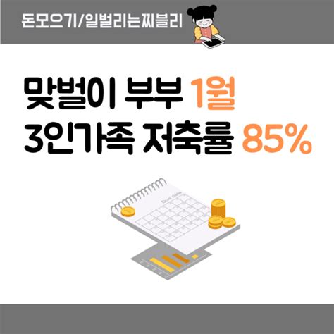 가계부결산맞벌이부부 3인가족 1월 저축률 85 Ft 수입증가 목표달성 해외여행 보상 네이버 블로그