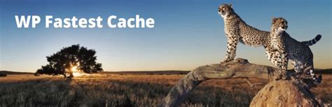 TheeCommerce Best Caching Plugins For WooCommerce