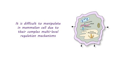Teamsustech Shenzhen