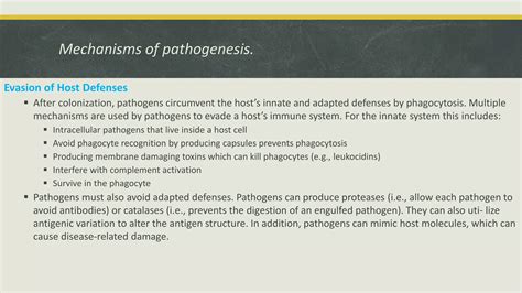 Host Pathogen Interactions Ppt